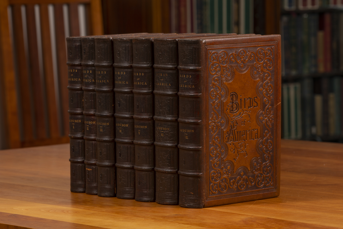 (Re)presenting the Birds of America: New Exhibit in Special Collections ...